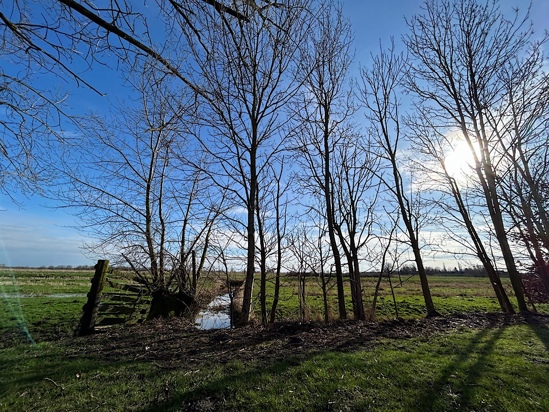 Motivsuche in Kehdingen – Diane Frank